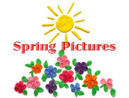 Lifetouch Spring Pictures | Pumpkin Delight Elementary School